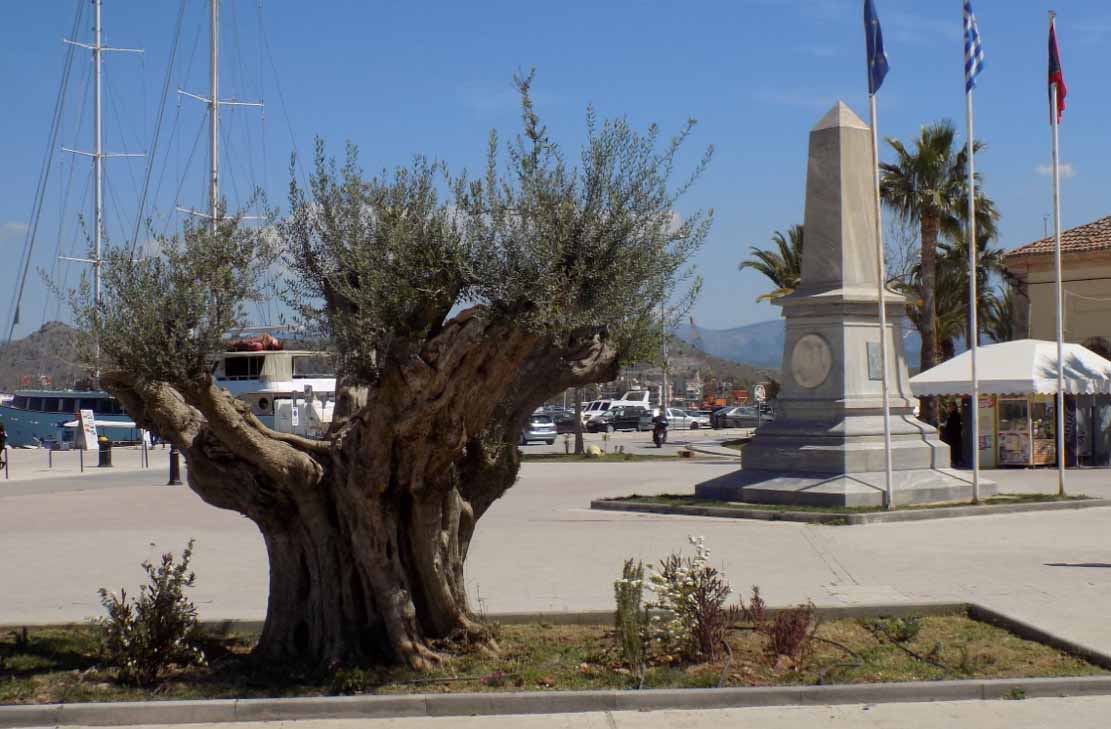Προς ένταξη στην Άυλη Πολιτιστική Κληρονομιά της UNESCO ο πλάτανος και ...